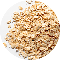 Healthy Snacks | Gemini Bars